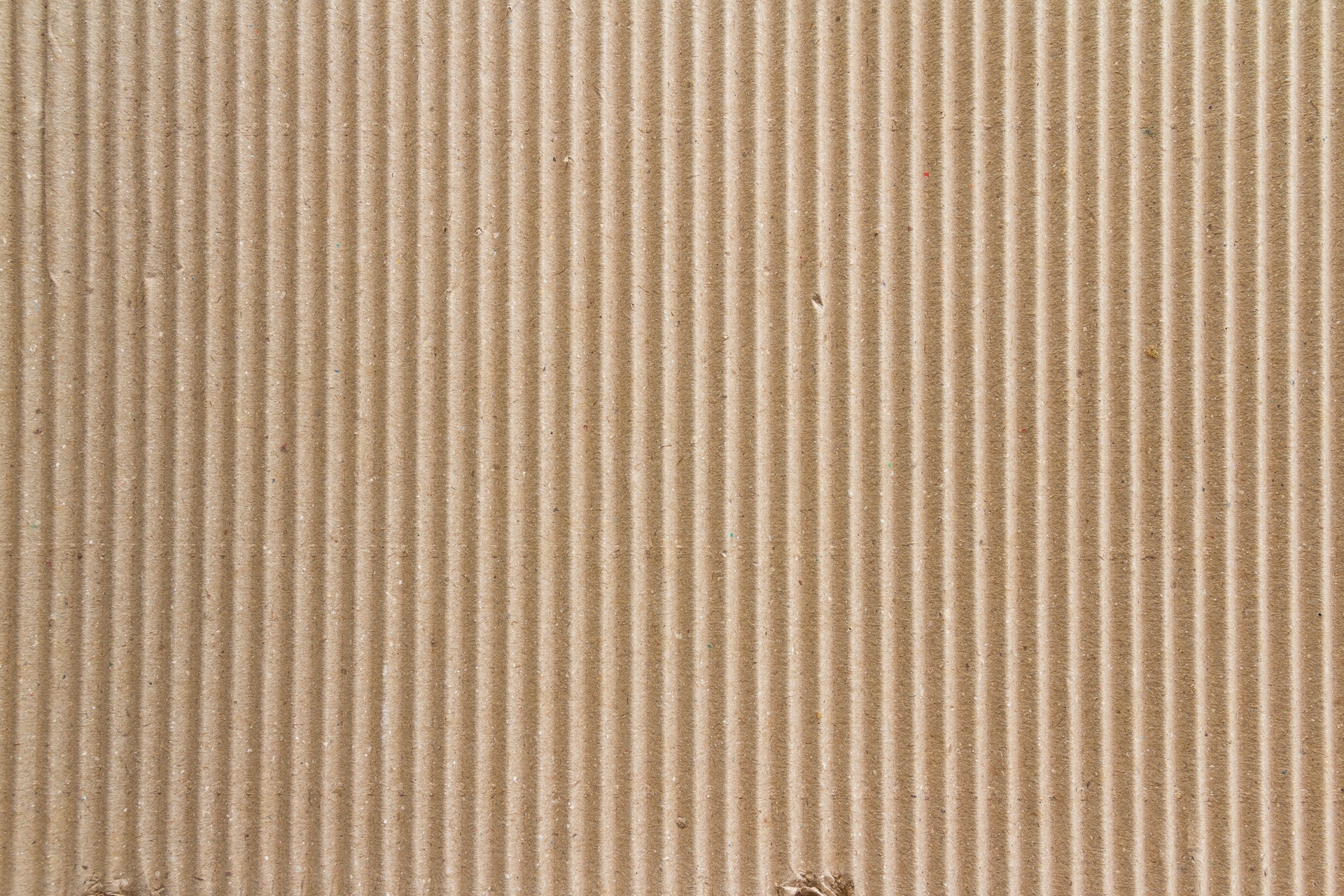 Home 1 - Flying Eagle Packaging